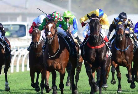 Ipswich Cup |Tickets and Race Info | Ipswich Turf Club | Call 07 3282 1500